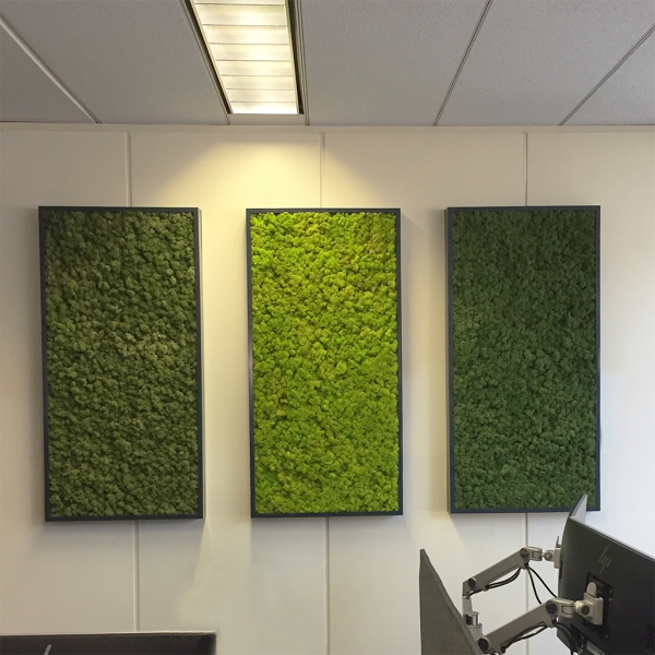 Moss Walls · Sedgefield Interior Landscapes, Inc.